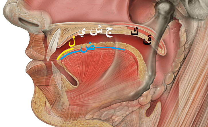 Makhaarij – Tajweed Me