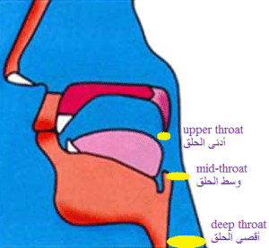 throat letters arabic – Tajweed Me